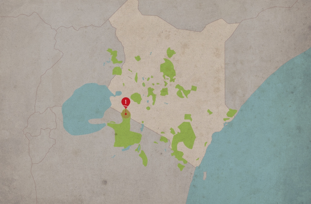 Spirit of Kenya | The Famous Mara | Planning your dream safari