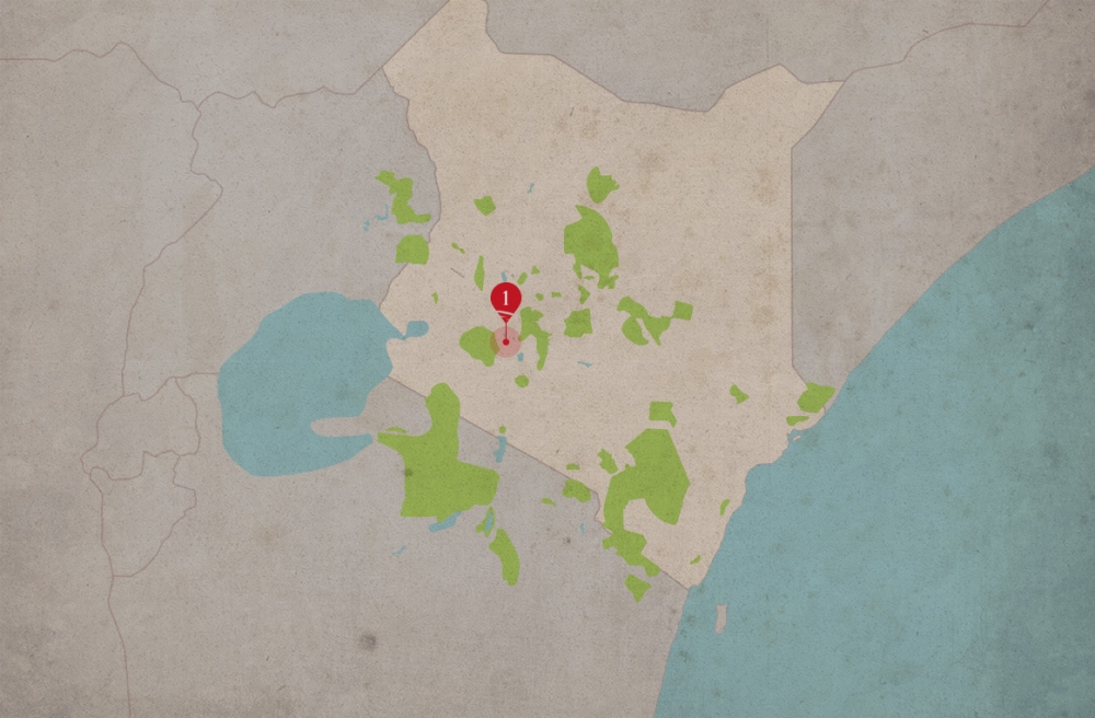 Spirit of Kenya | 1 Day Lake Nakuru | Planning your dream safari